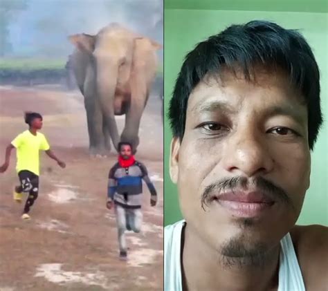 Elephant Youtube