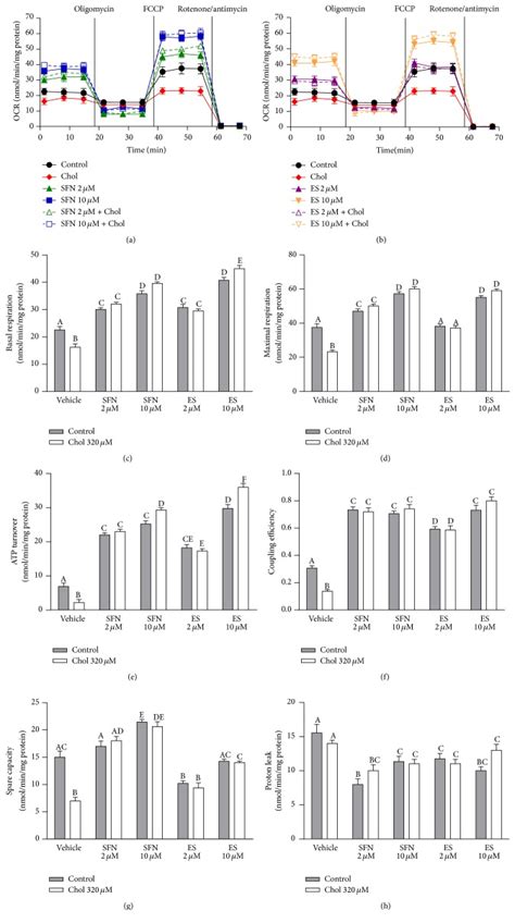 Sulforaphane Protects Against High Cholesterol Induced Mitochondrial
