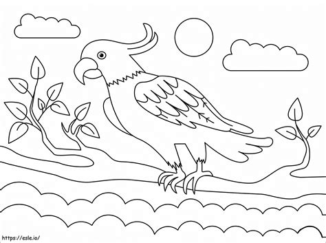 Cockatoo Coloring Page
