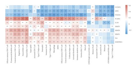 Identifying Key Genes And Molecular Features Of Them In The Tcga Coad