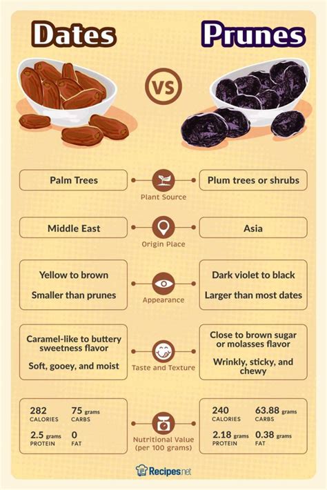Dates Vs Prunes Whats The Difference