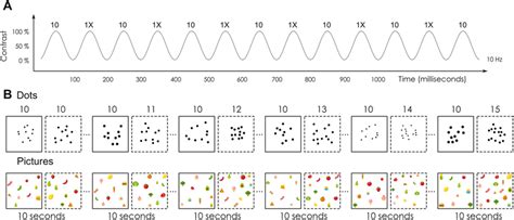 Illustration Of The Experimental Design A The Onset And The Offset Download Scientific