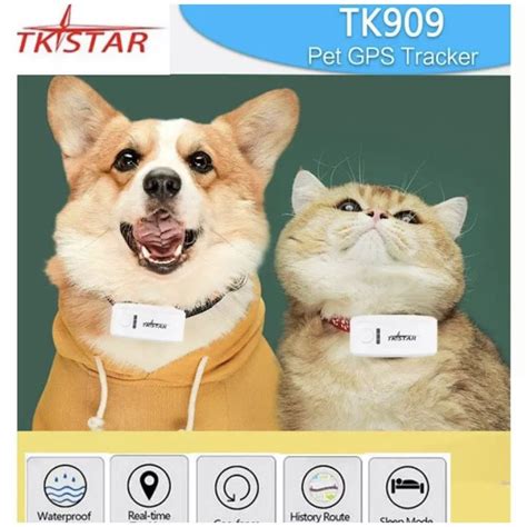 สนคาขายด TKSTAR MINI PET GPS Tracker สรอยคอ GSM GPRS TK909 Real