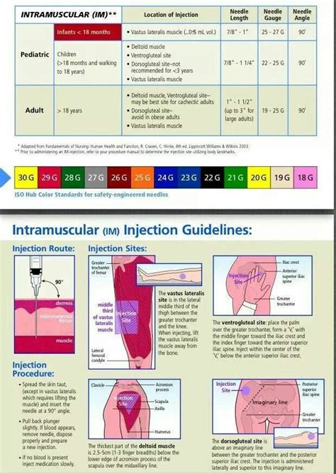 Im Injection Guidelines Pediatric Nursing Nursing Tips Nursing