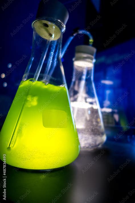Erlenmeyer Flask In Laboratory Stock Photo Adobe Stock