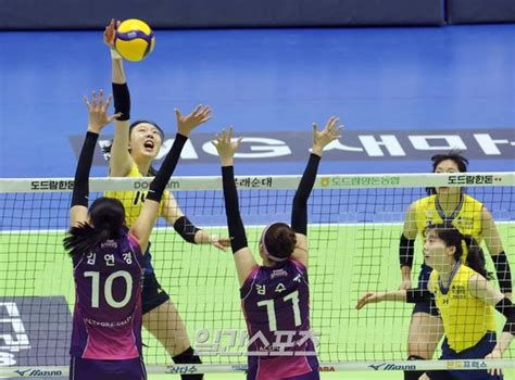 포토 양효진 강스파이크 네이트 스포츠