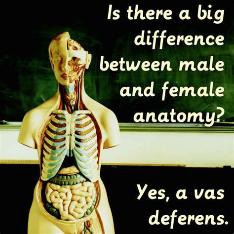 43 Best Urology Humor Images On Pinterest Ha Ha Hilarious Quotes And