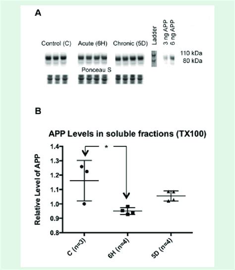 Acute Isoflurane Exposure Decreases Soluble And Membrane Levels Of App