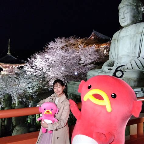 エビシー【公式】 On Twitter 先週は桜中継🌸 たくさんのキレイな🌸を見れたんだシ🥰 新年度 ️ 新たな気持ちでスタートだシ🎵