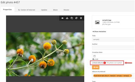 1300beta1 Synced Photos Show As Orphan · Issue 1644 · Piwigo