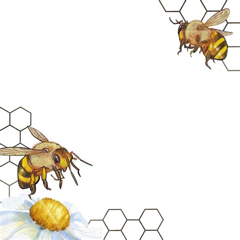 Пчелы и цветы на прозрачном фоне Премиум фото