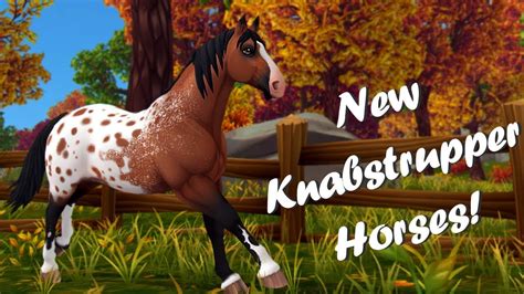 Buying The New Knabstrupper [sso] Youtube