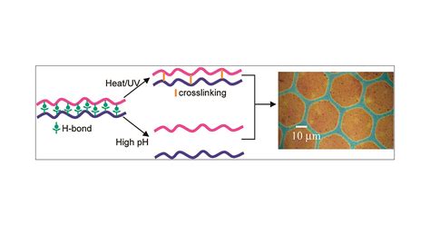 Micropatterning Of Polymer Thin Films With Ph Sensitive And Cross Linkable Hydrogen Bonded