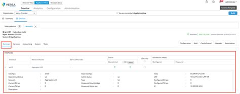 Deploying Sd Wan Sites With Aggregate Ethernet Lan Interfaces Academy Versa Networks