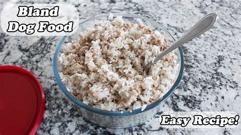 Best Homemade Bland Diet For Dogs Reena Burdick