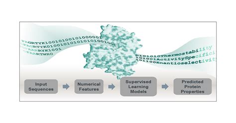 Deep Dive Into Machine Learning Models For Protein Engineering