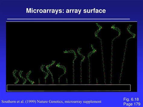 Ppt Gene Expression Microarray Data Analysis Powerpoint Presentation