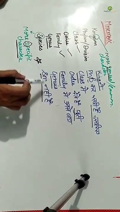Mnemonic For Taxonomic Hierarchy 🔥🔥🔥🔥🔥 Youtube