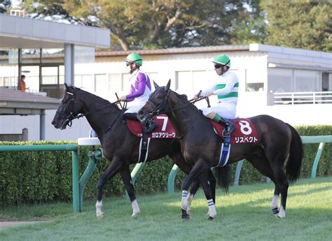 【セントライト記念】好位追走のガロアクリークは3着 川田「返し馬の感触は休み明けという感じ」 スポーツ報知