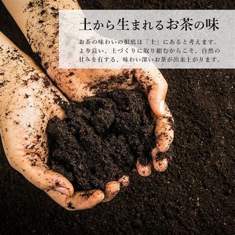 新茶 2025 お茶 緑茶 茶葉 日本茶 煎茶 霧島茶 形上煎茶 霧島特選 100g 知覧茶 鹿児島茶 お茶のお届け便 通販