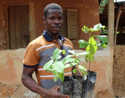Cocoa And Forests Initiative Cfi Reports Progress Towards Ending