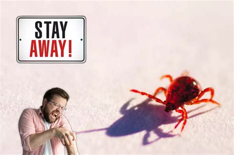 How To Deal With Those Pesky Kentucky Chiggers