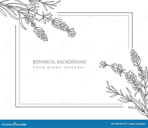 Lavender Line Art Lavender Border Frame Botanical Background Trendy