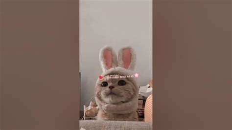 Эстетичные вещи с ВБ 💞 Youtube