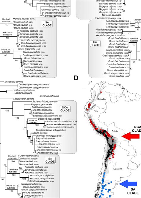 bayesian 50 majority rule consensus trees from 12 002 trees generated