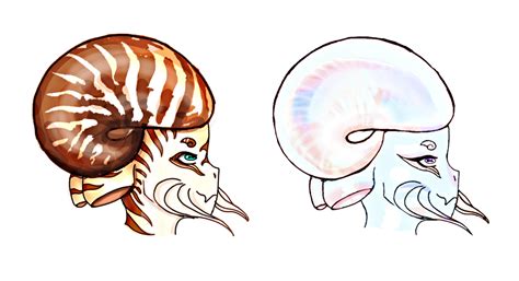 My 2 Newest Main Ocs Roriginalcharacter