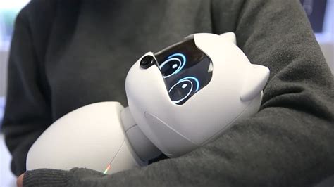 Longevity Test Assessing The Durability And Wear Of Robot Pets Robot Pet Friends Longevity Test Assessing The Durability And Wear Of Robot Pets Robot Pet Friends