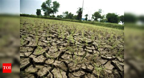 Maharashtra Maharashtra Government Declares Drought In 42 Of State