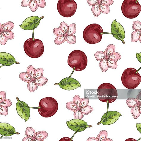 빈티지 스케치 스타일 복고풍 식물 음식 일러스트 등 체리와 벚꽃이 있는 손으로 그린 완벽 한 패턴 개화기에 대한 스톡 벡터 아트 및 기타 이미지 Istock
