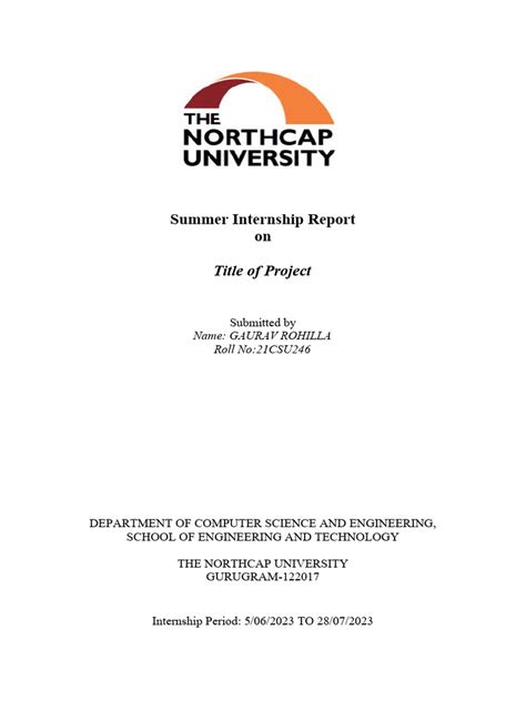 Summer Internship Report Pdf Databases Usability