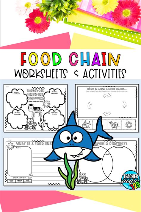 Food Chains And Food Webs Worksheets