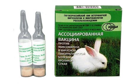 Какие прививки и когда делают кроликам общая схема вакцинации по возрасту