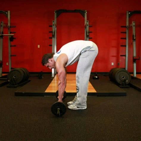 Barbell Ab Rollout Exercise How To Workout Trainer By Skimble