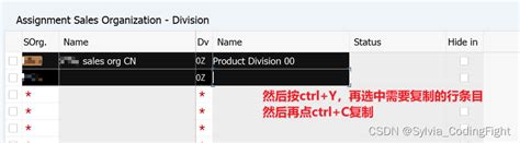 sap gui配置和操作小技巧 sap gui选项 csdn博客