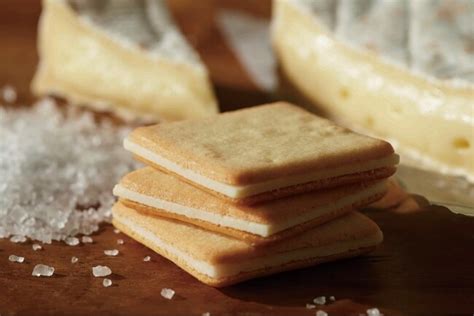 【そごう横浜店newオープン】厳選したミルクと良質なチーズのスイーツ専門店「東京ミルクチーズ工場」登場！オープニング記念キャンペーンも実施