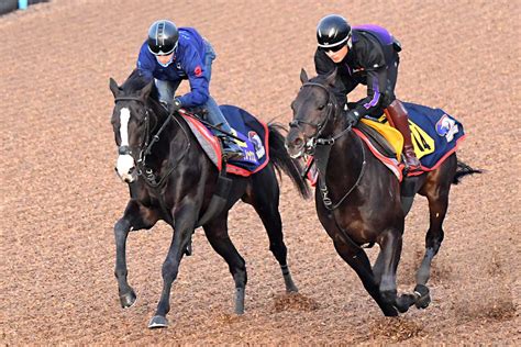 【皐月賞・1週前追い切り】イクイノックス手応え優勢で併入 ルメール「バッチリ。パワーアップしているけど重くなく素軽い動き」 競馬ニュース