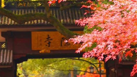 杭州美 西湖 机电 大山谷图库