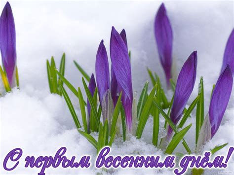 с первым днем весны - Поиск в Google | Spring flowers, Flowers, Garden