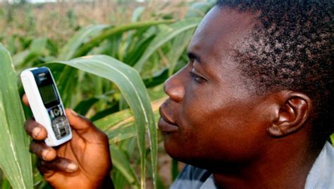Is Ghana Showing The Most Interest In Bitcoin