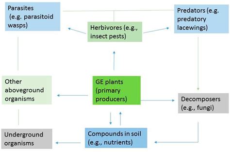 Biosafety And Ecological Assessment Of Genetically Engineered And