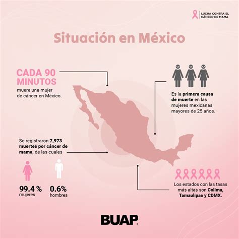 Scjn Ordena Garantizar La Entrega De Medicamentos Contra El Cáncer Y