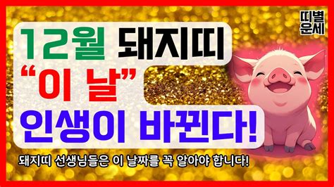 운세 돼지띠 주목 2024년 12월 돼지띠 이 날 인생역전 12월 돼지띠 운세 반안살 대길일 재물운 로또운세 47