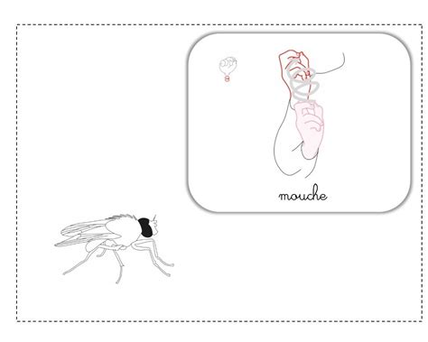 Mouche LSF Illustration Langage Des Signes Bebe Langue Des Signes