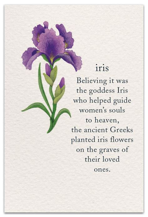 Blue Iris Quotes