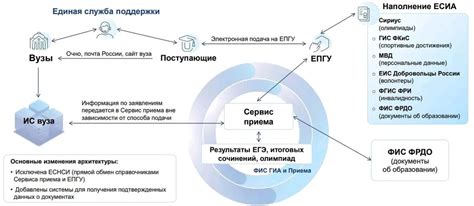 Когда подавать документы в вуз 2024 году Telegraph