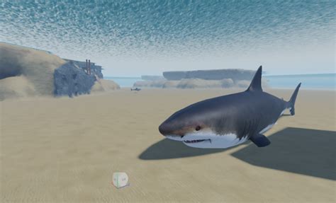 Robloxgo Survive The Killer Megalodon Real Time Stats Insights And Ranking